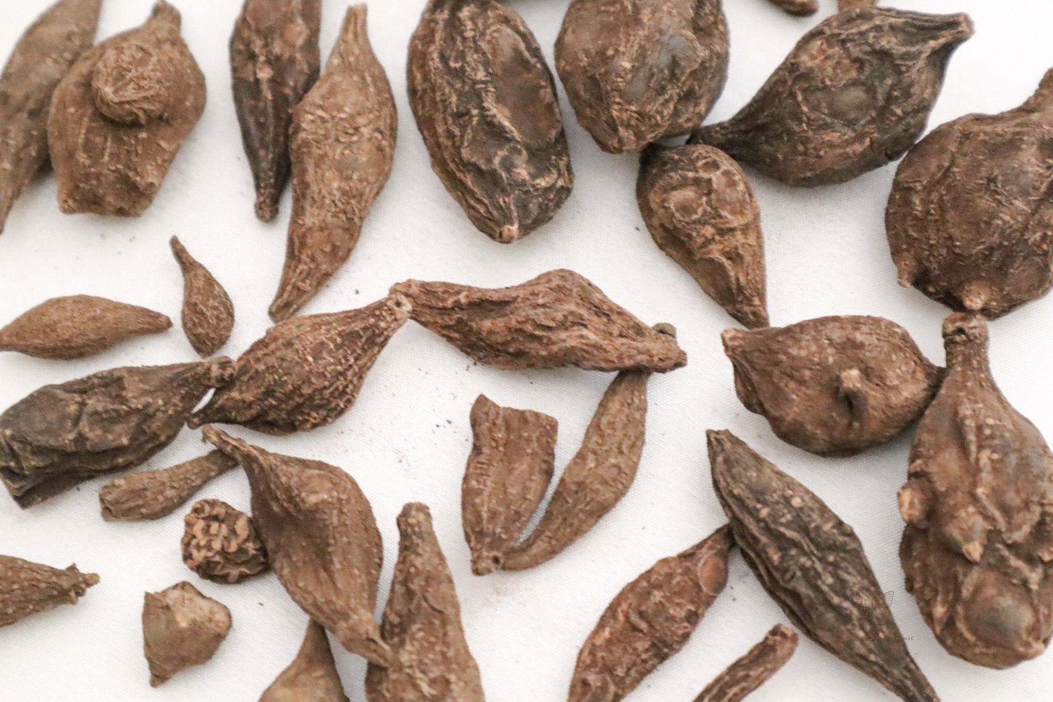 High John the Conqueror Root for Prosperity Business Success - Etsy