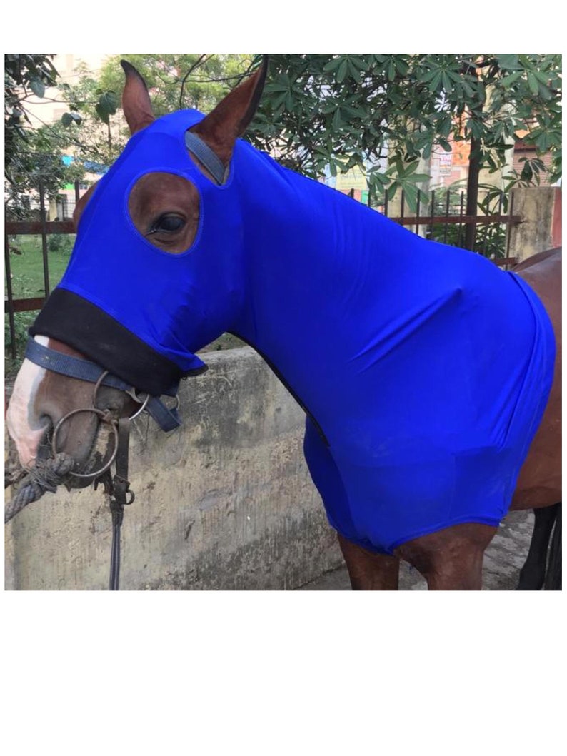 Majestic Ally Stretch Lycra Horse Hood With Zipper - Etsy