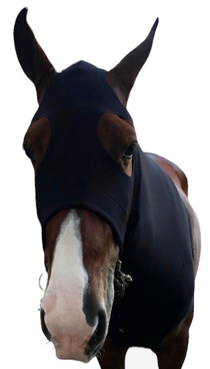 Majestic Ally Stretch Lycra Horse Hood With Zipper - Etsy