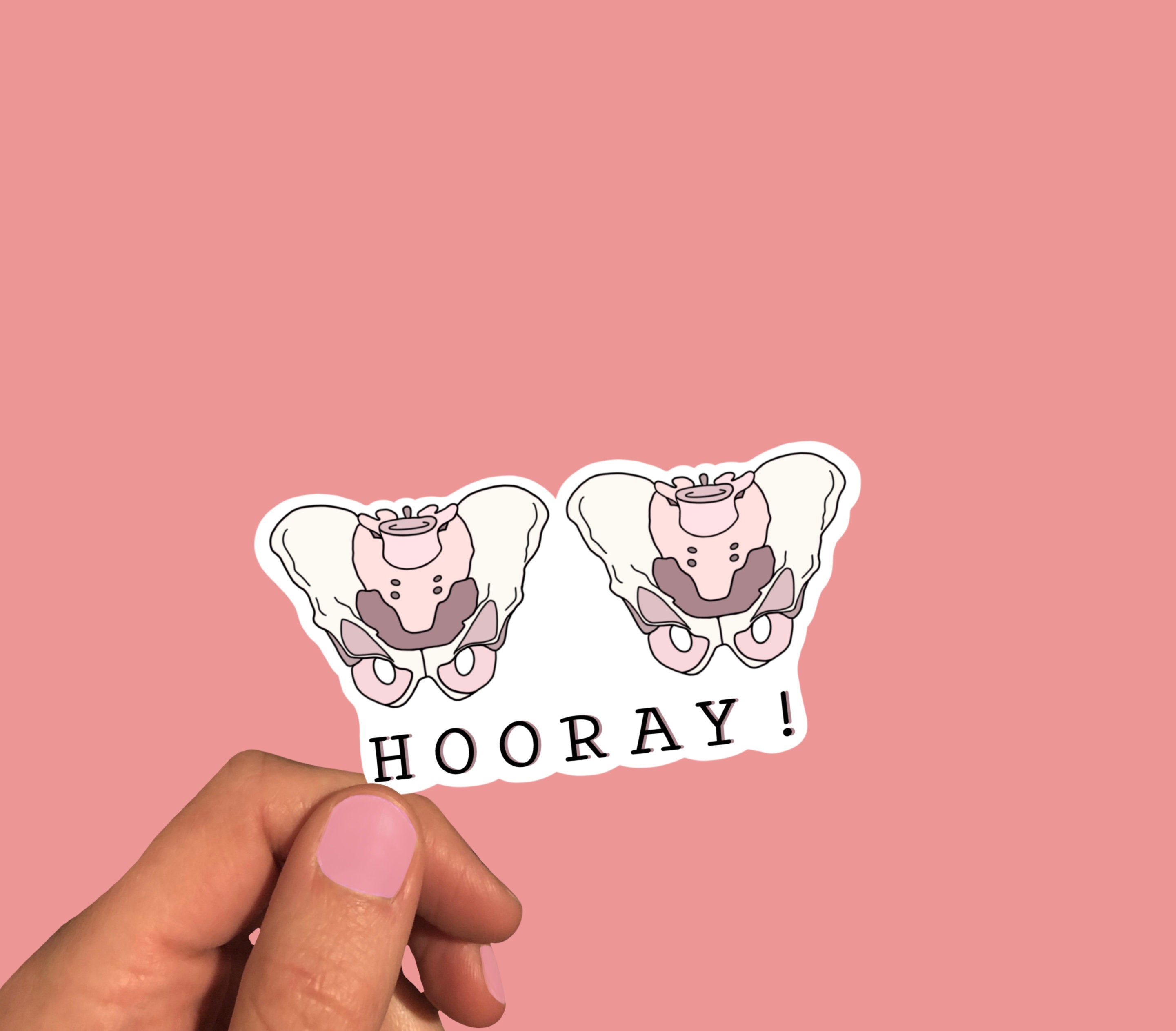 Hip Hip Hooray Physical Therapy Sticker Physical Therapist - Etsy
