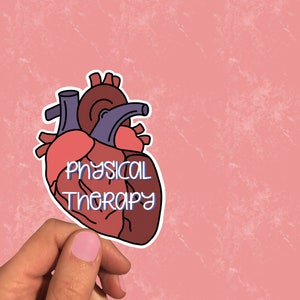 Cardiac PT, Cardiopulmonary, Physical Therapy School Sticker, Physical ...