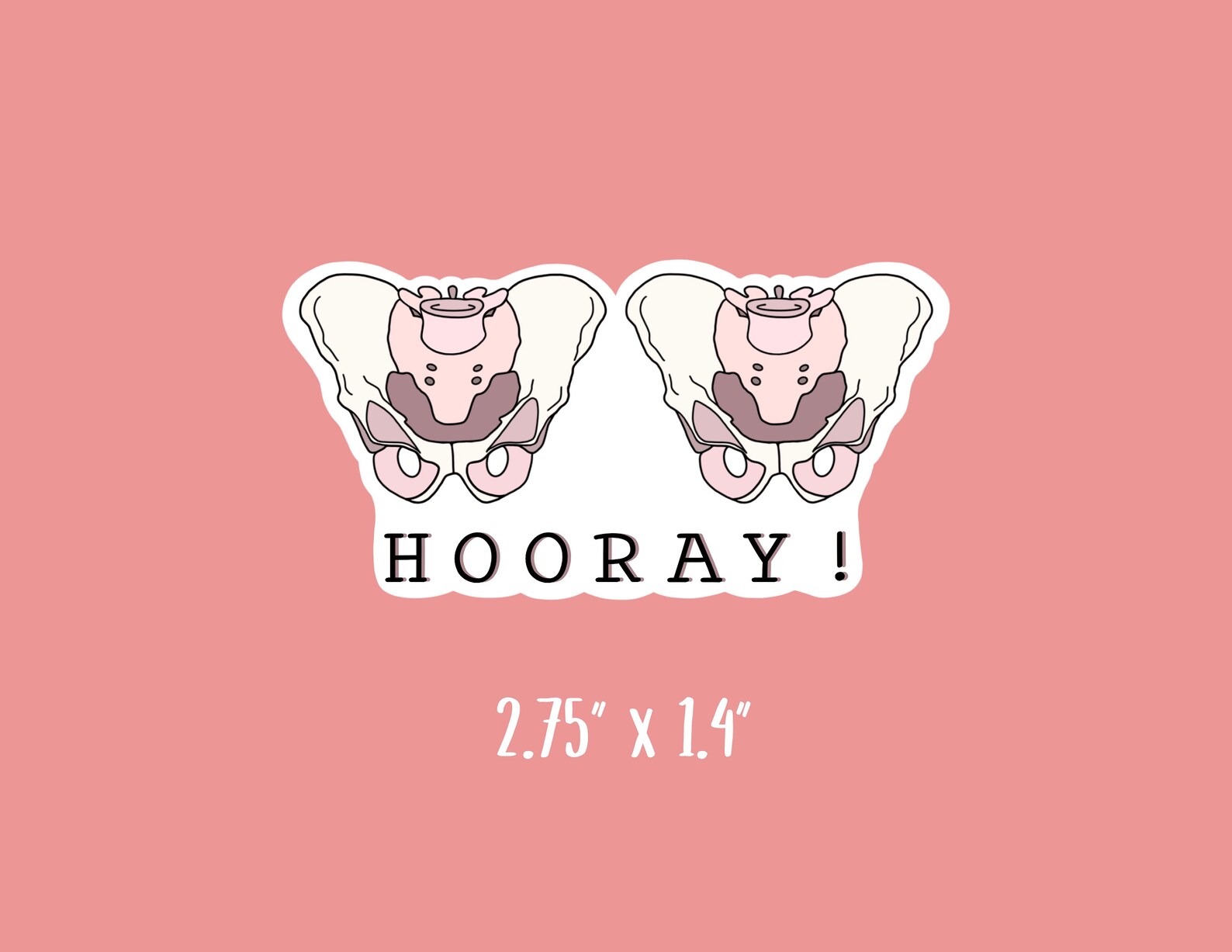 Hip Hip Hooray Physical Therapy Sticker Physical Therapist - Etsy