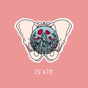 Pelvic Health Physical Therapy Sticker, Floral Physical Therapist, DPT ...