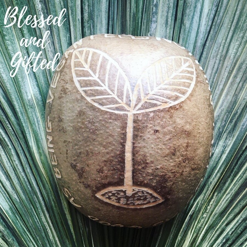 Calabash Bowl Plate 'vegan Feels' Design Natural - Etsy