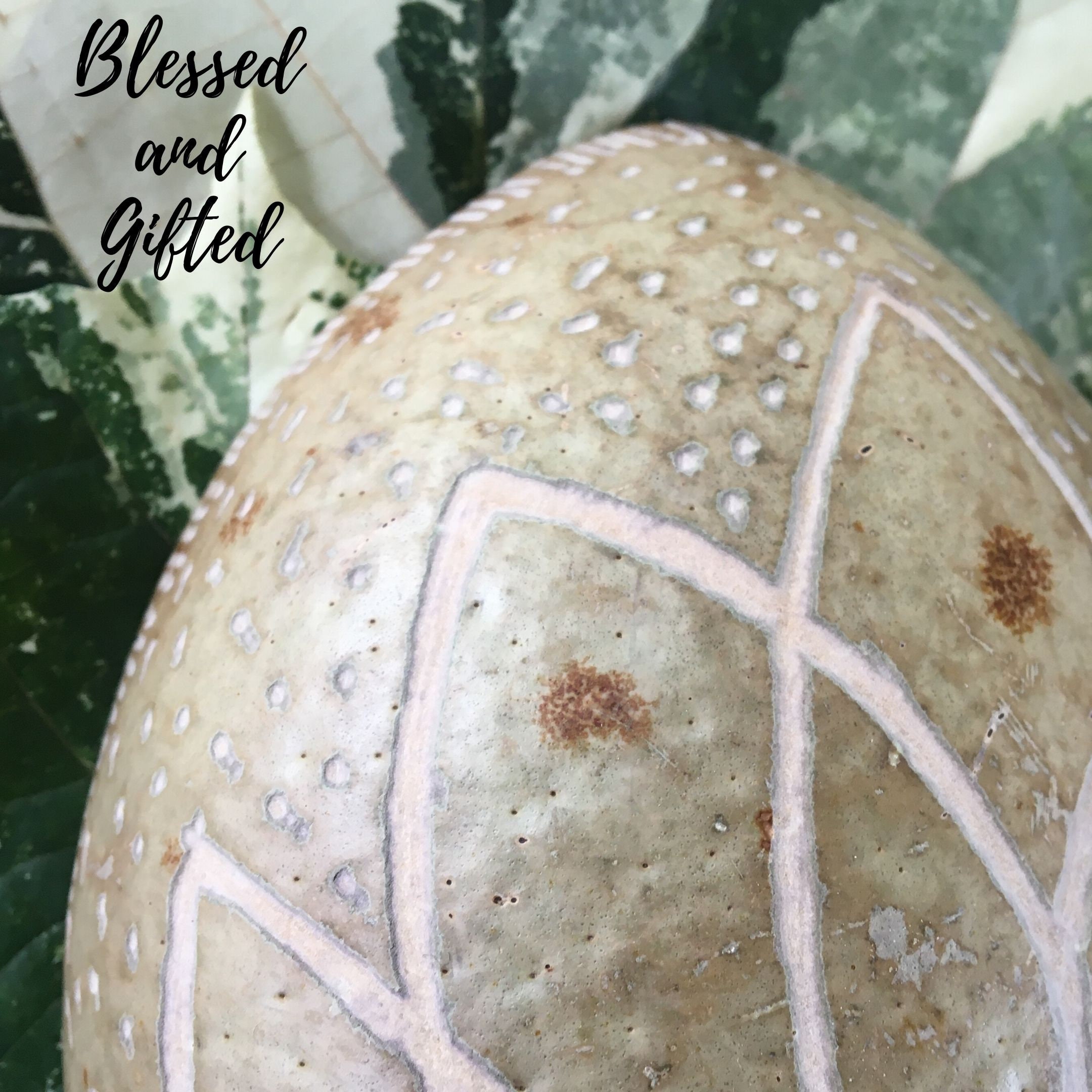 Calabash Bowl Plate, 'lotus Flower', Yoga, Natural Bowl, Eco-friendly ...