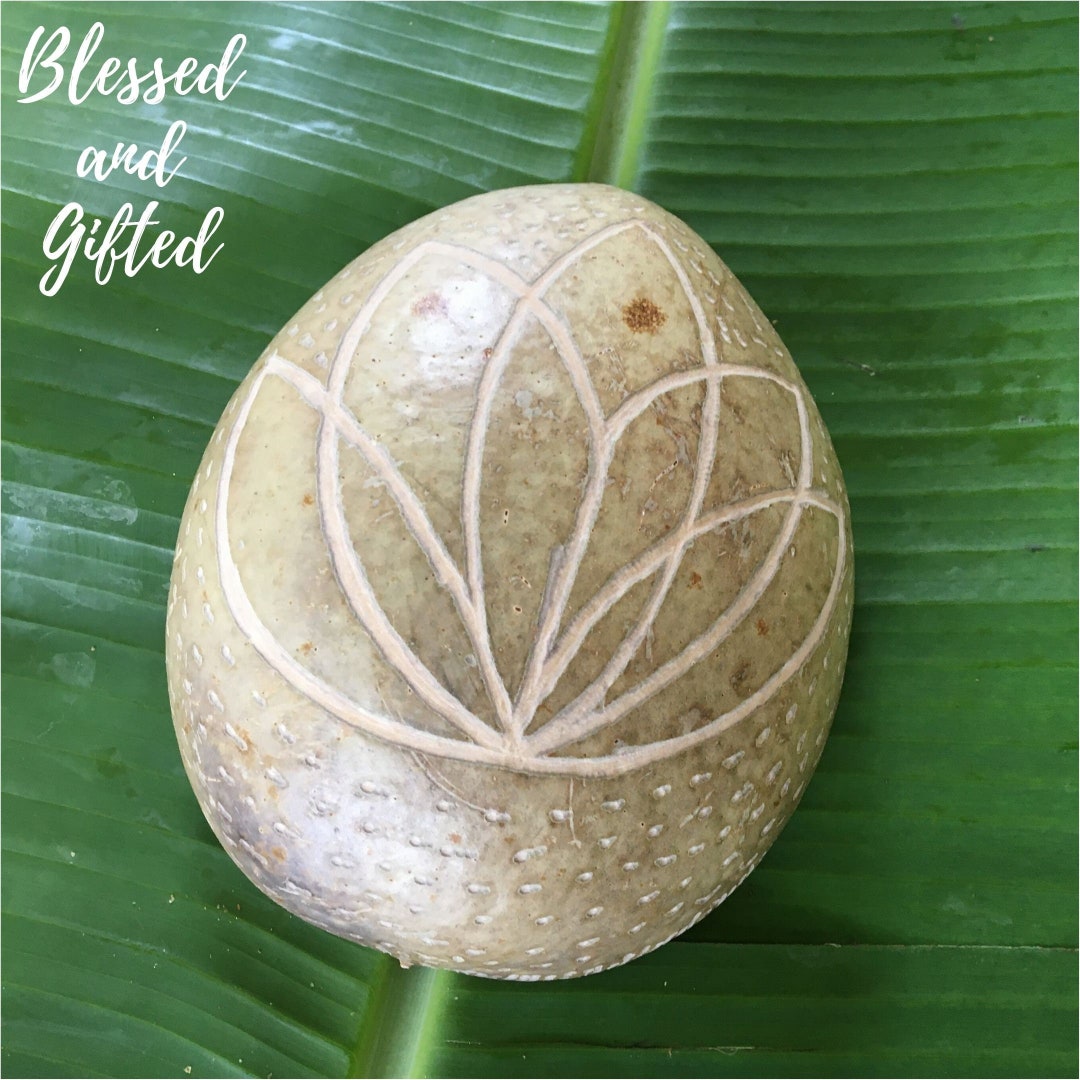 Calabash Bowl Plate, 'lotus Flower', Yoga, Natural Bowl, Eco-friendly ...