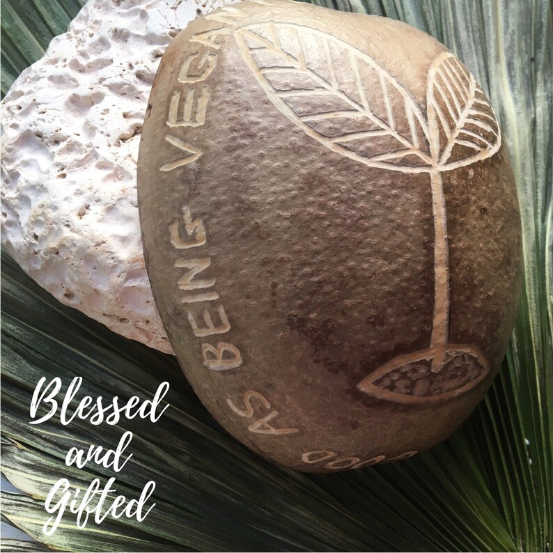 Calabash Bowl Plate 'vegan Feels' Design Natural - Etsy