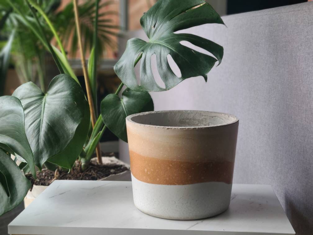 8 Inch Planter Concrete Pot Terracotta Pot Modern - Etsy