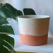 8 Inch Pot Pink Pot Pink Planter Large Planter Planter Pot Indoor ...