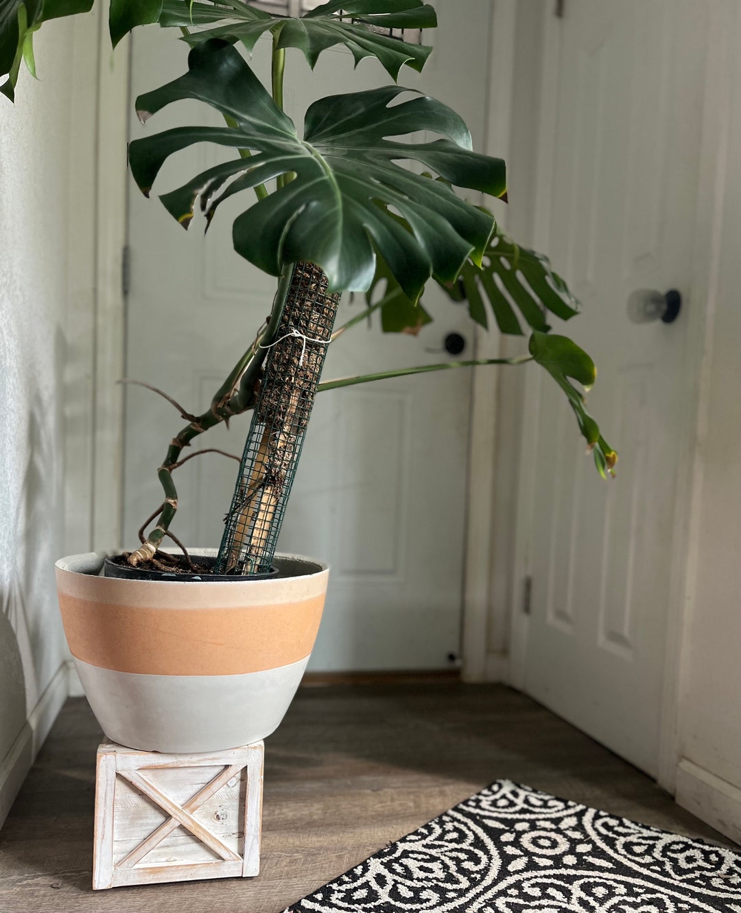 14 Inch Pot - 14 Inch Planter - Large Pot - Large Indoor Plant Pot ...