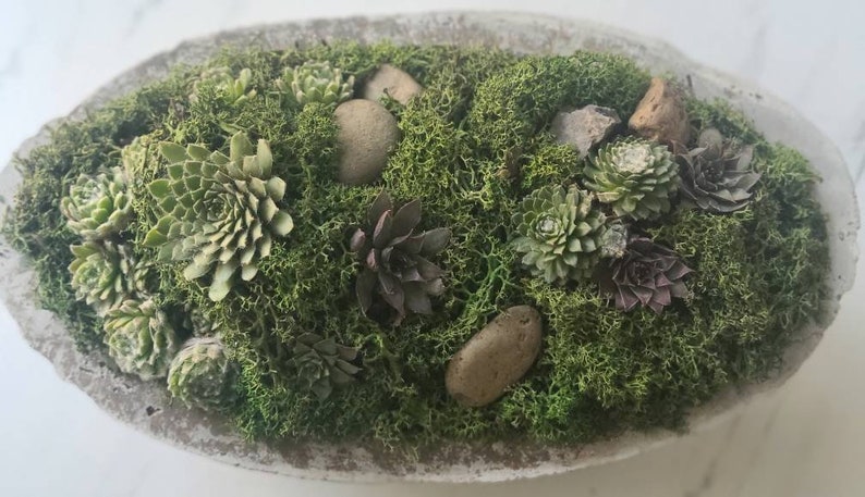 10 Inch Planter Boat Planter vesssel Planter Moss Garden - Etsy