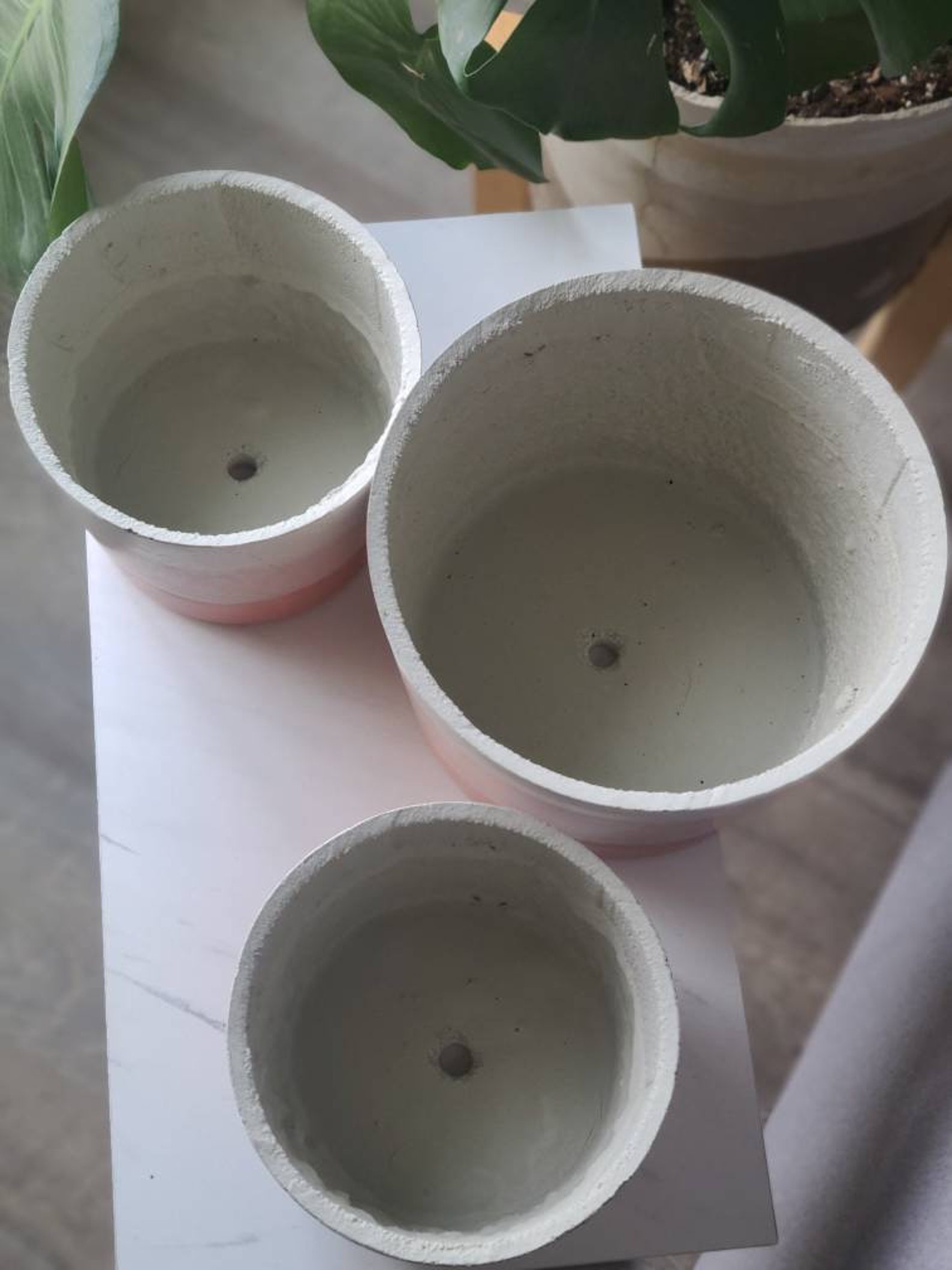 6 inch pot pink pot small pot cylinder pot succulent | Etsy