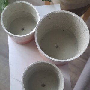 6 Inch Pot Pink Pot Small Pot Cylinder Pot Succulent Pot Cactus Pot ...