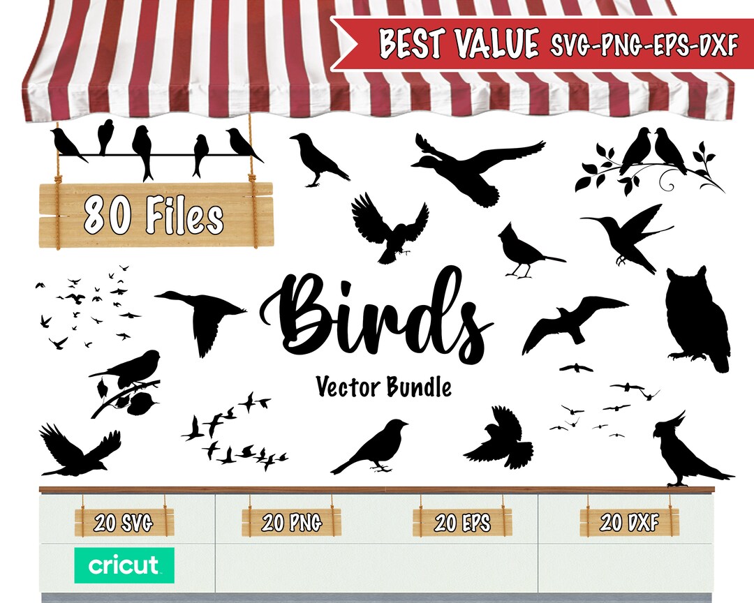 Birds Vector SVG Bundle / Svg / Png / Dxf / Eps / Cricut / Silhouette ...