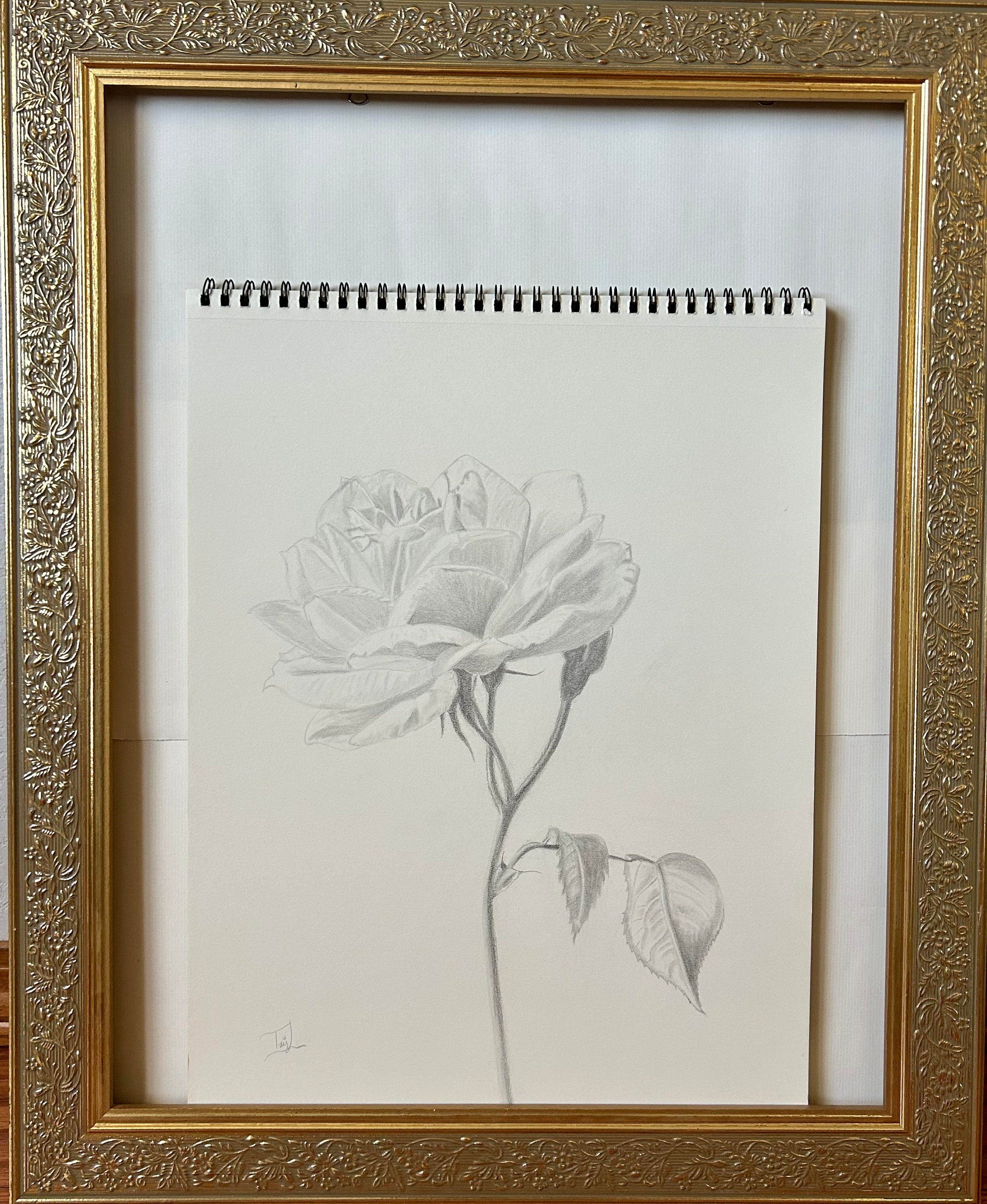 Rose Graphite Drawing Original Art Flowers Art - Etsy