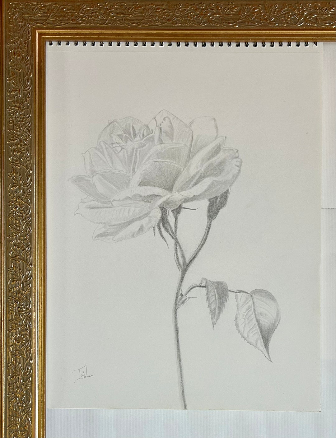 Rose Graphite Drawing Original Art Flowers Art - Etsy