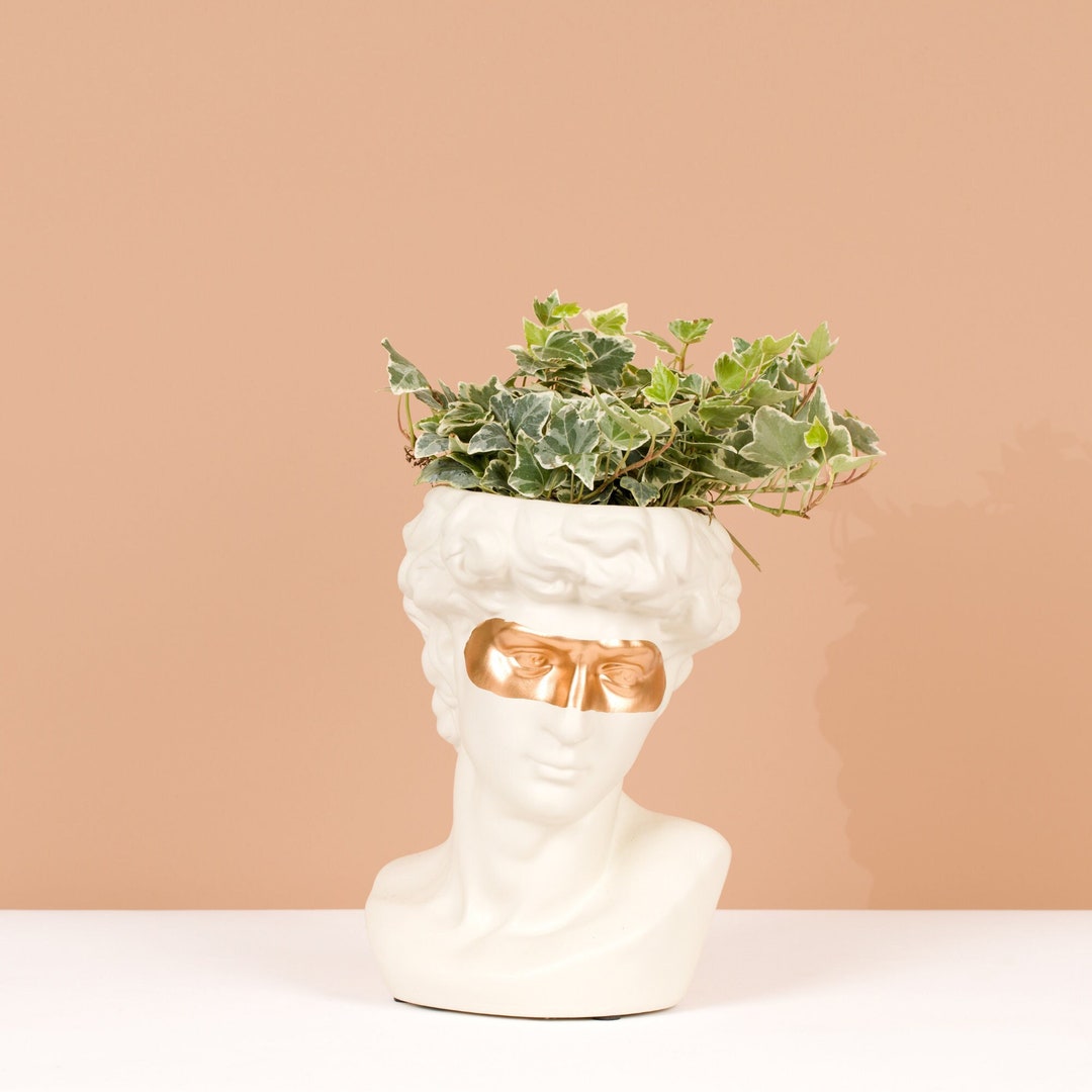 David Head Planter | Ceramic Face Pot | Gift for Plant Lover - Etsy