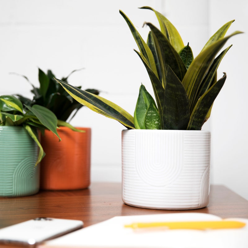 Ceramic Planter With Drainage - Etsy