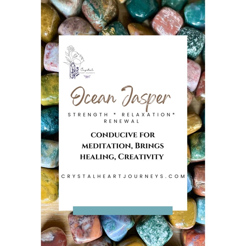 Raw 8th Vein Orbicular Jasper Specimens | Ocean Jasper Crystal ...