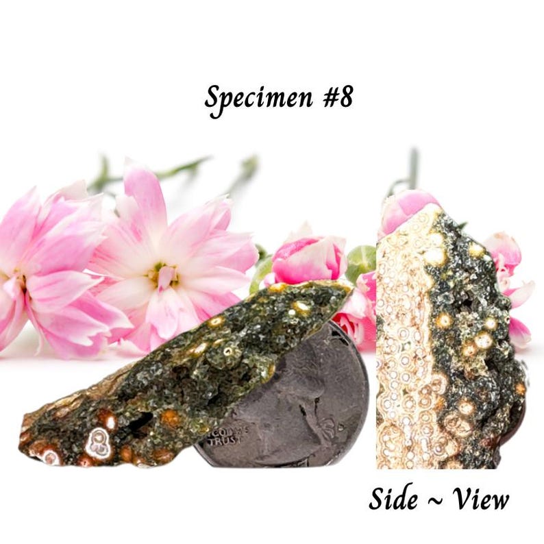 Raw 8th Vein Orbicular Jasper Specimens | Ocean Jasper Crystal ...