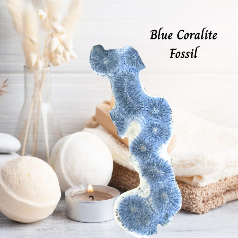 Fossil Coral - Etsy