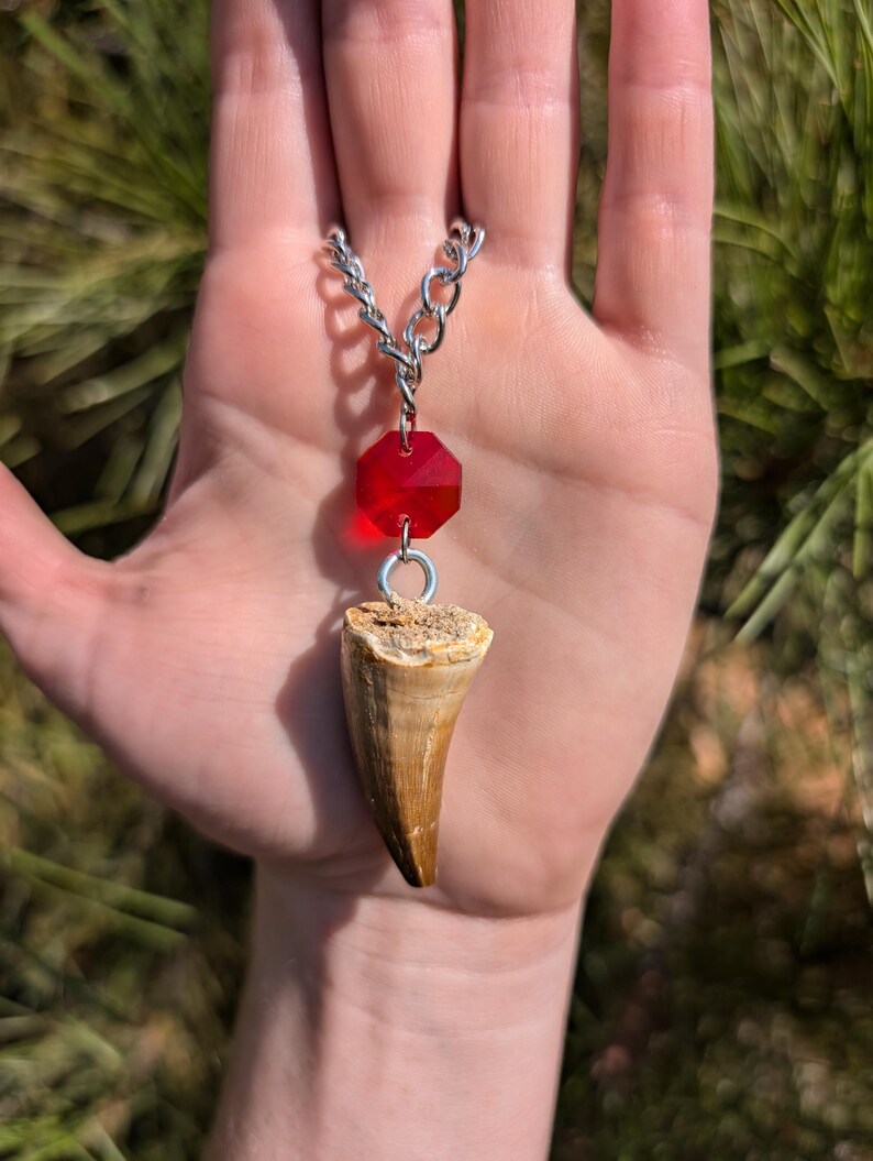 Mososaur Tooth and Chandelier Crystal Necklace - Etsy