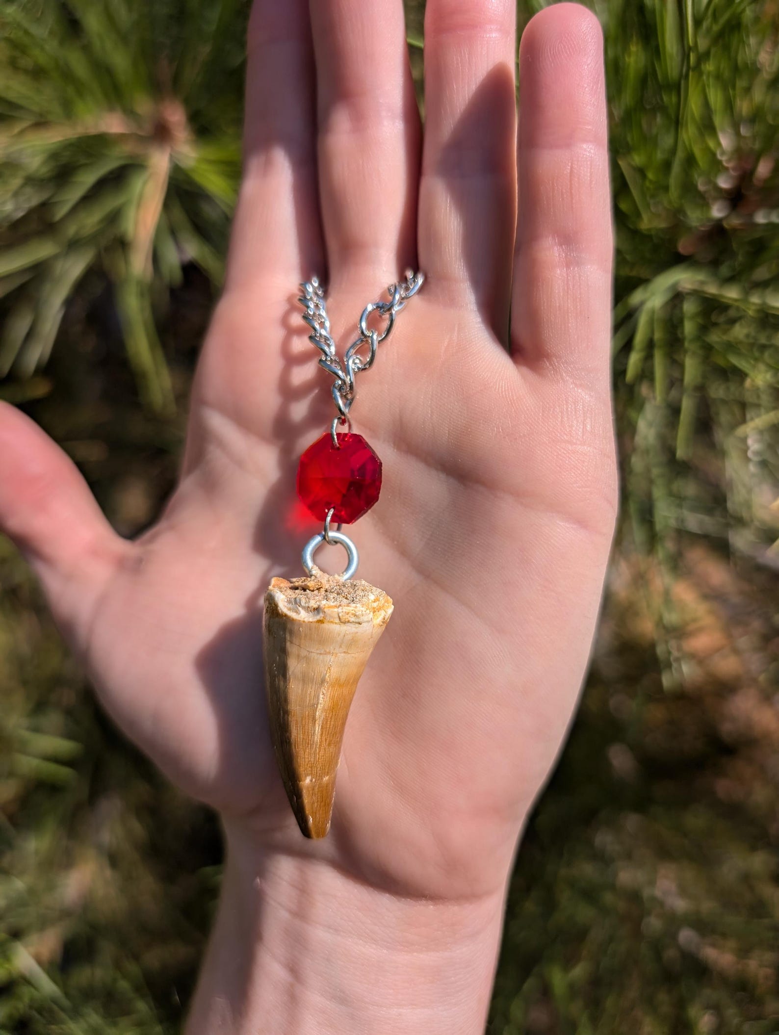 Mososaur Tooth and Chandelier Crystal Necklace - Etsy