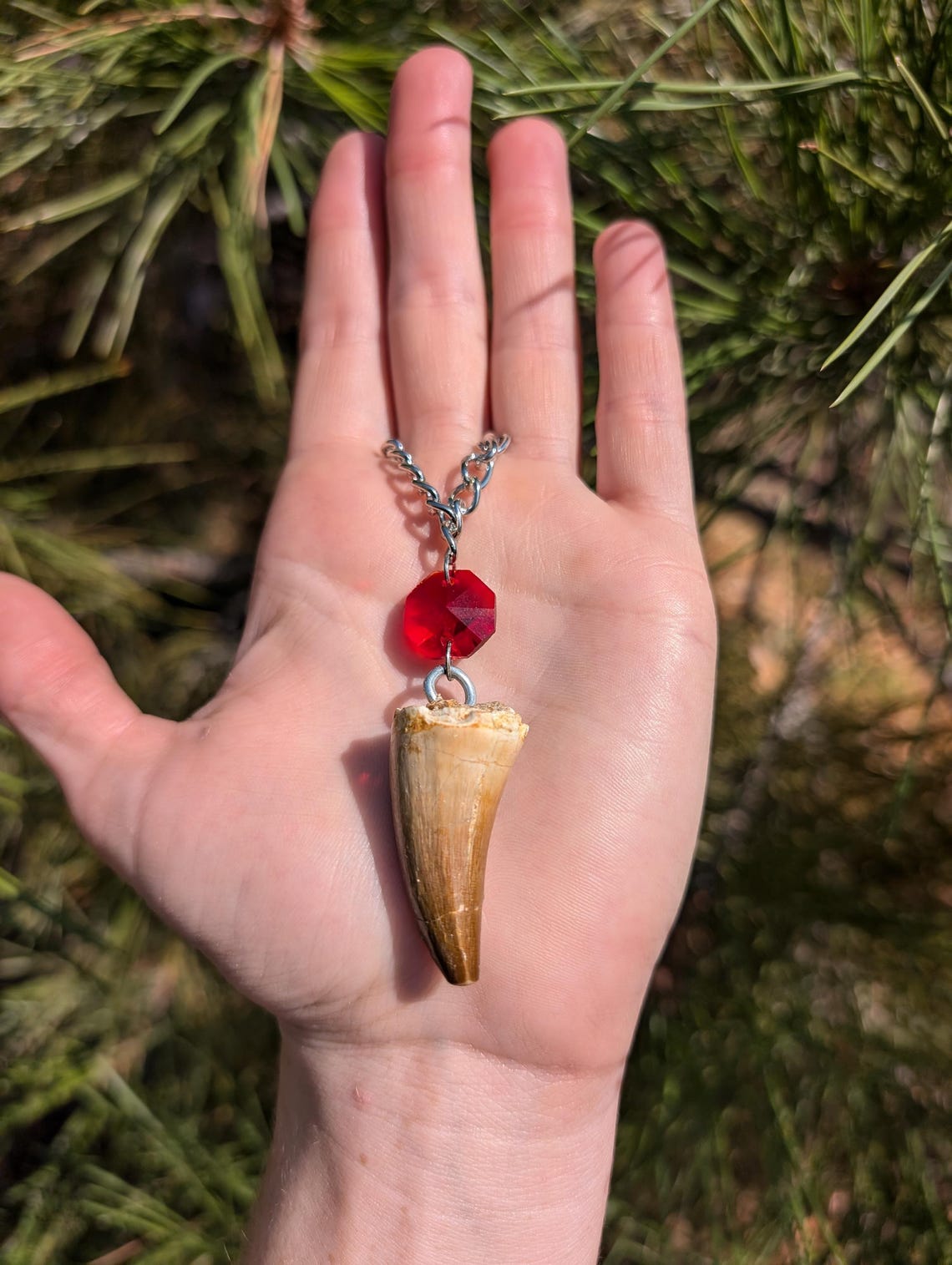 Mososaur Tooth and Chandelier Crystal Necklace - Etsy