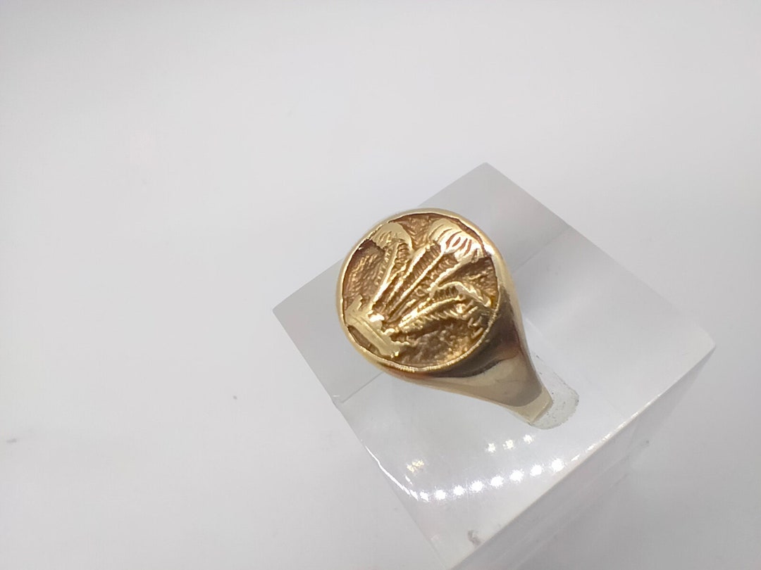 Fully Hallmarked 9ct Gold Vintage Prince of Wales Feathers Signet Ring ...
