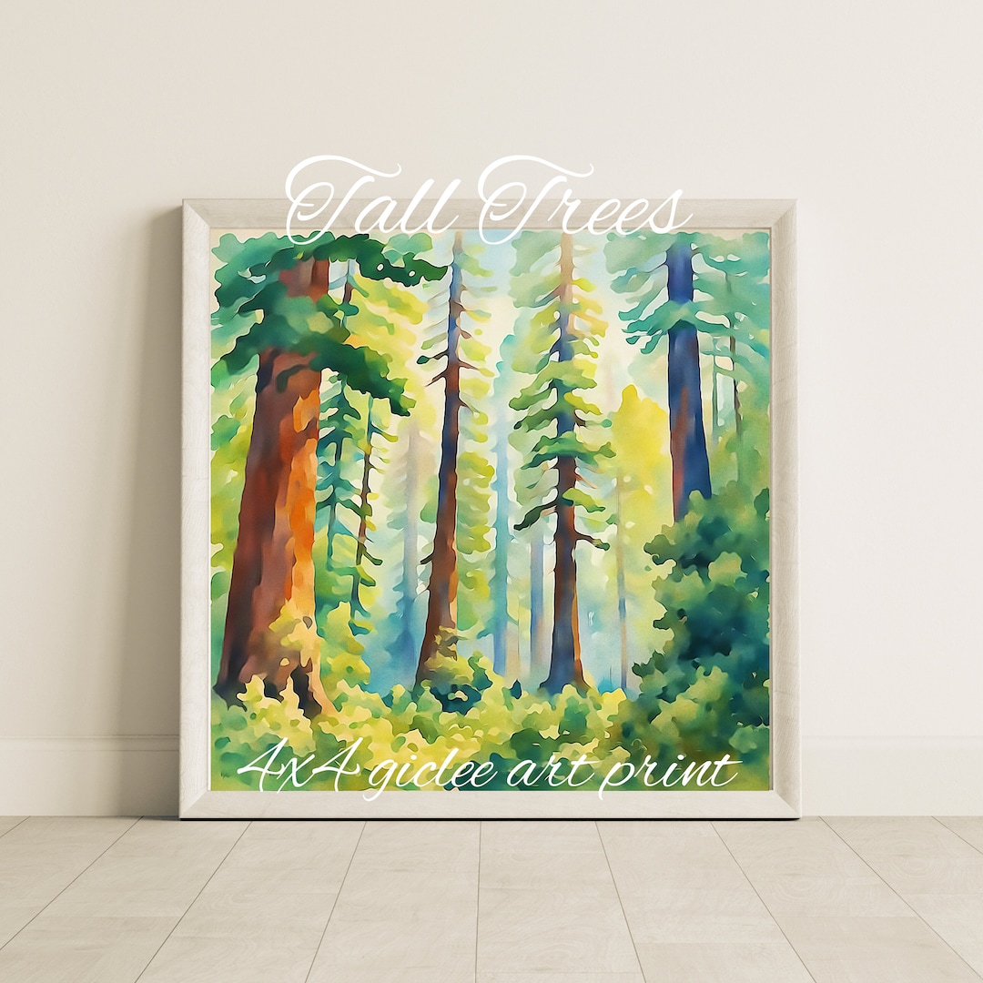 4x4 "tall Trees" Giclee Art Print | Nature & Landscape | Original ...
