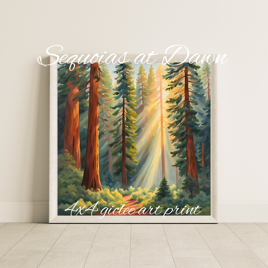 4x4 "sequoias at Dawn" Giclee Art Print | Nature & Landscape | Original ...