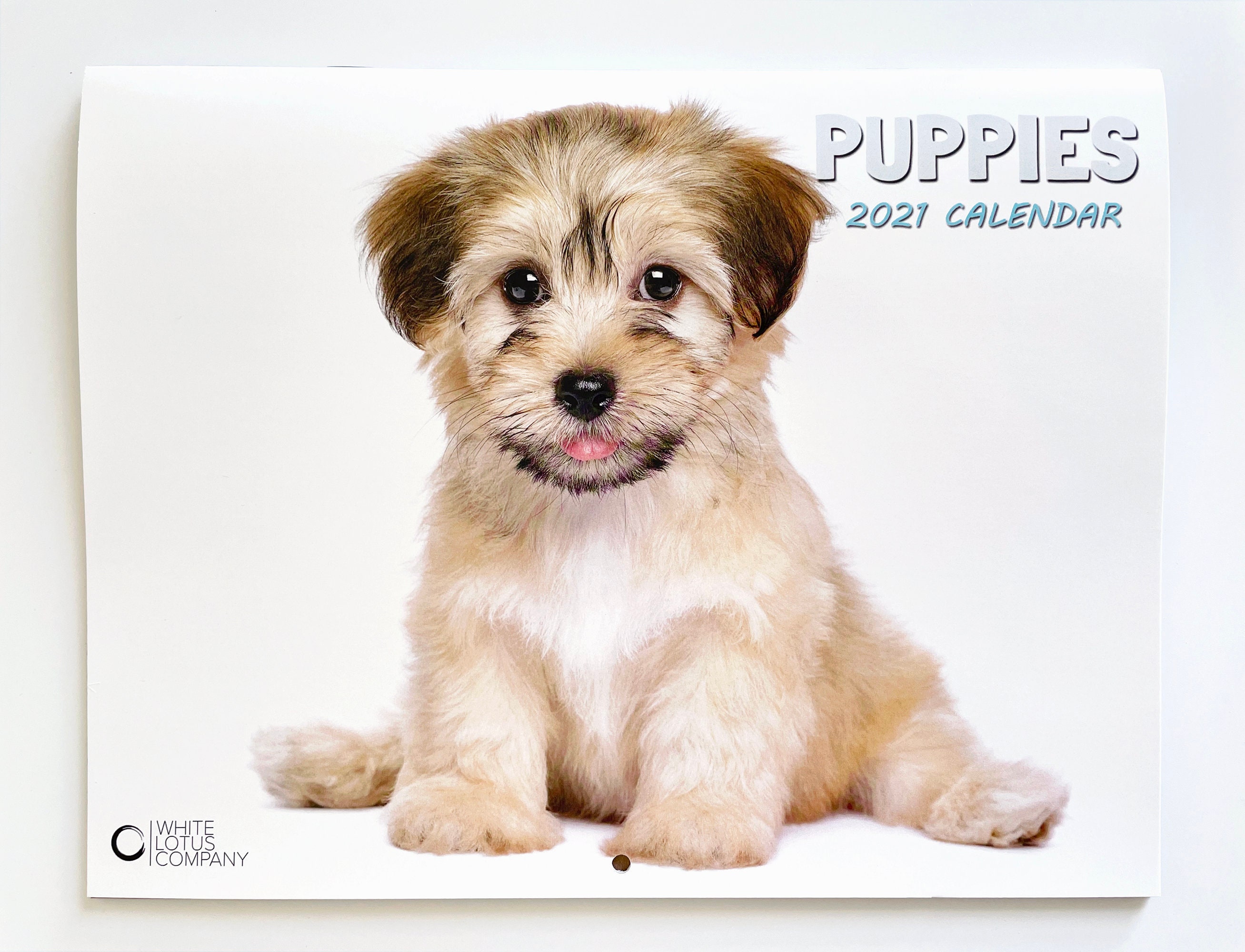 Puppies 2021 Wall Calendar 11 x 17 When Opened | Etsy