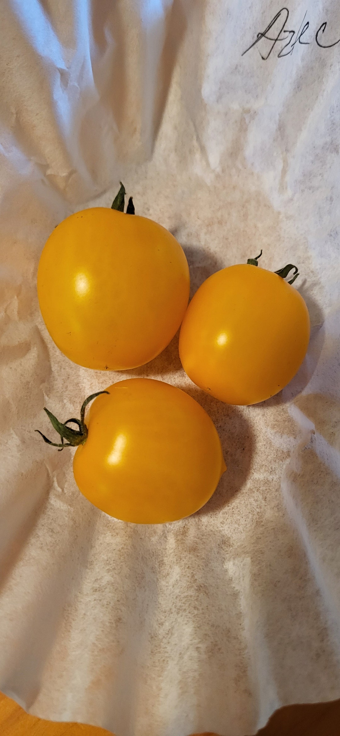 Dwarf Micro Aztec Tomato Seeds - Etsy