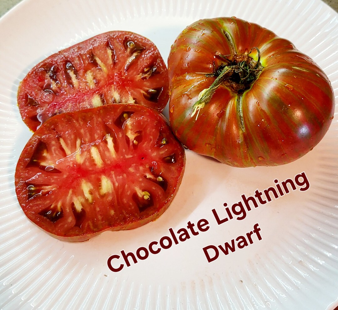 Dwarf Chocolate Lightning Tomato Seeds - Etsy