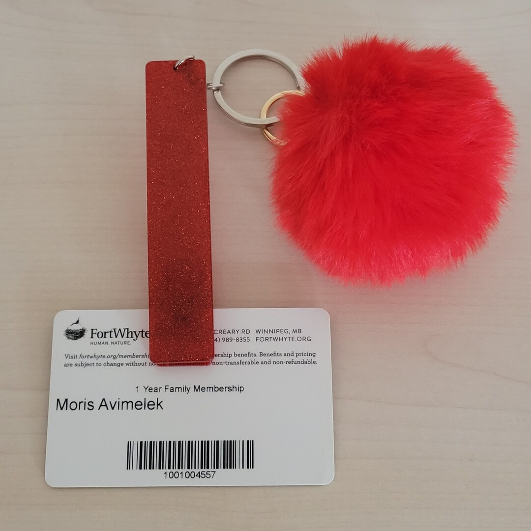 ID Card Grabber for Teachers, Healthcare Worker Gift, Debit Card Puller ...