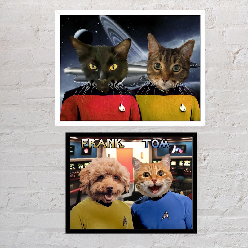 Star Trek Cat - Etsy