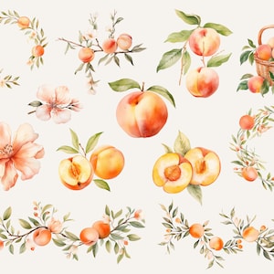 Peach Watercolor Clipart, Peach Floral Greenery, Watercolor Peaches ...