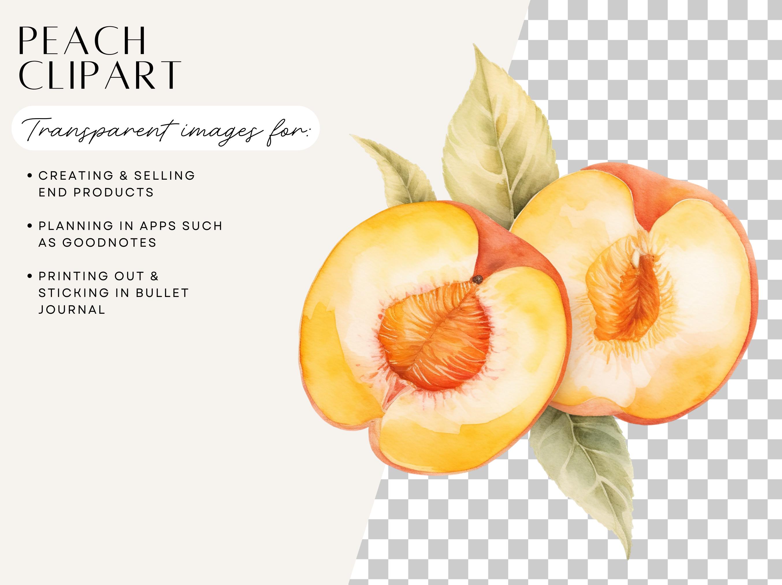 Peach Watercolor Clipart, Peach Floral Greenery, Watercolor Peaches ...