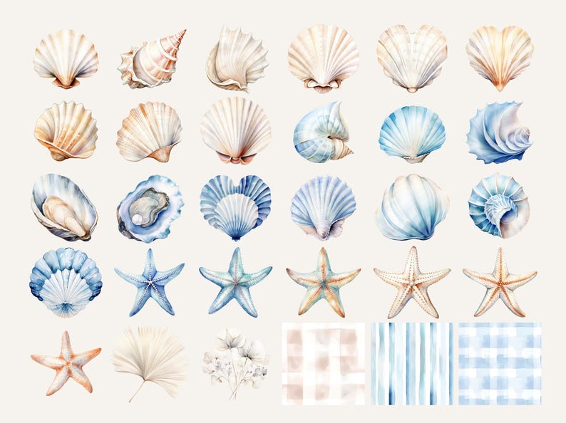Watercolor Sea Shell Clipart, Beach Baby Baby Shower, Cute Sea Shell ...