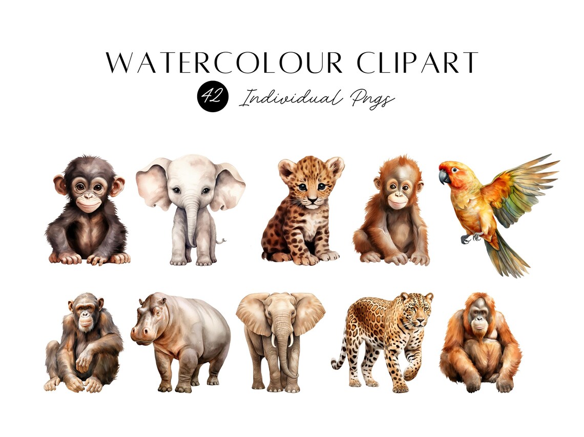 Baby Jungle Animals Clipart, Cute Watercolor Animal, Wild One Baby ...