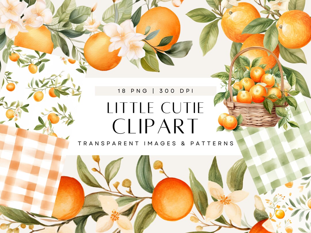 Little Cutie Clipart, Watercolor Orange Clipart, A Little Cutie is on ...