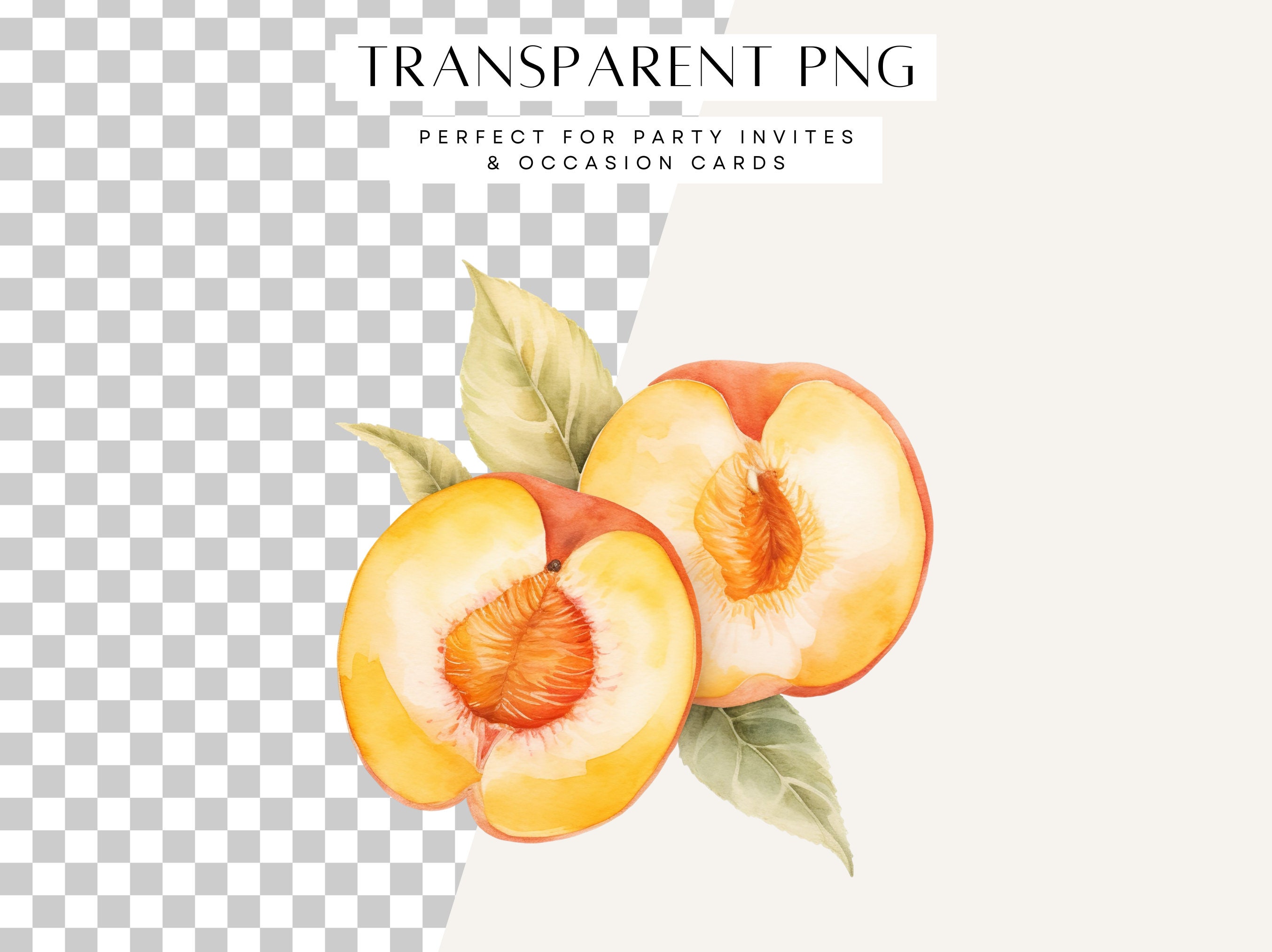 Peach Watercolor Clipart, Peach Floral Greenery, Watercolor Peaches ...