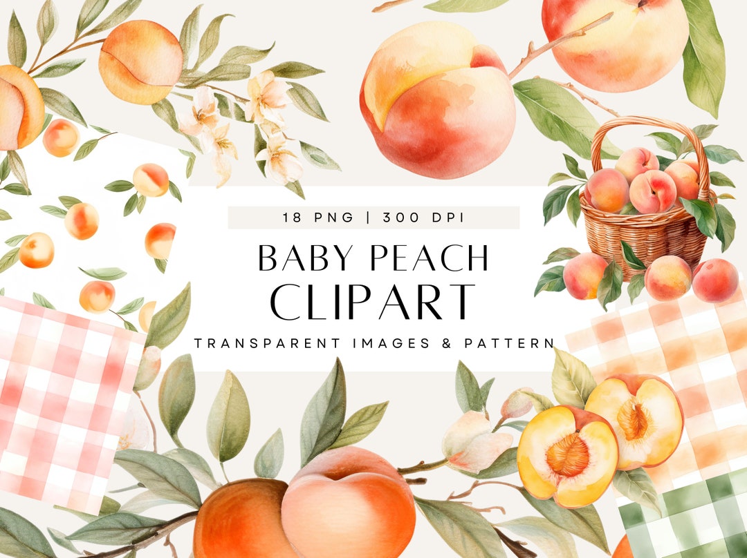 Peach Watercolor Clipart, Peach Floral Greenery, Watercolor Peaches ...