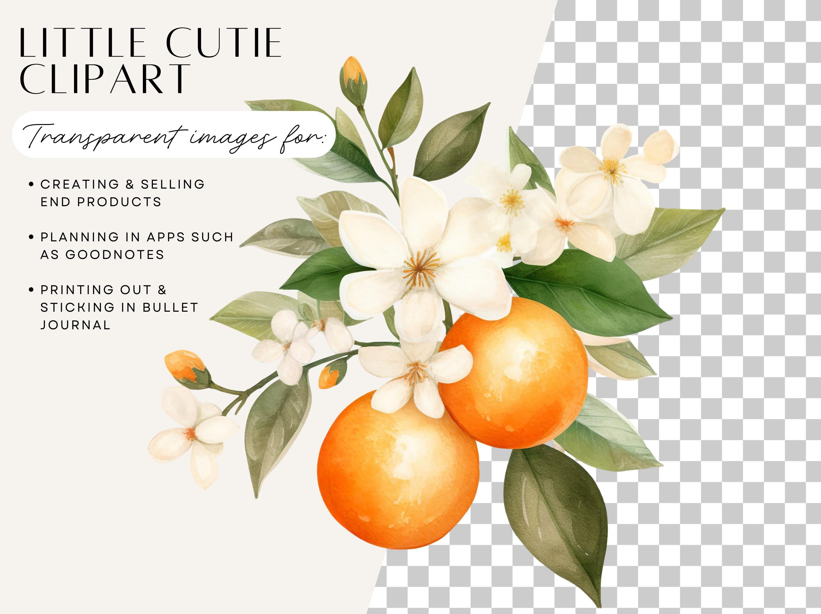 Little Cutie Clipart, Watercolor Orange Clipart, A Little Cutie is on ...