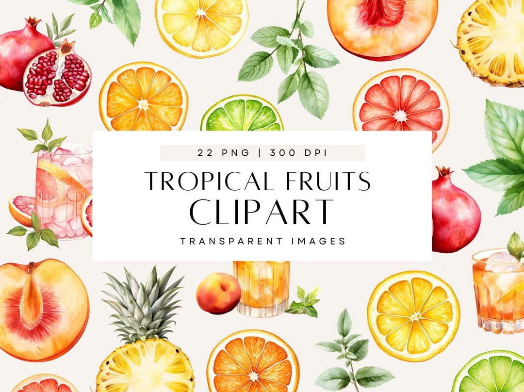 Tropical Fruits Clipart, Summer Fruit Clip Art, Cocktail Party, Citrus ...