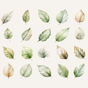 Maple Leaves Clipart, Watercolor Fall Leaf Clipart, Dried Leaf, Autumn ...