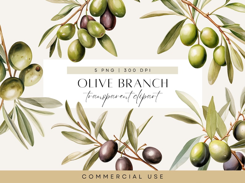 Olive Branch Clip Art, Watercolor Greenery, Olives, Minimalist ...