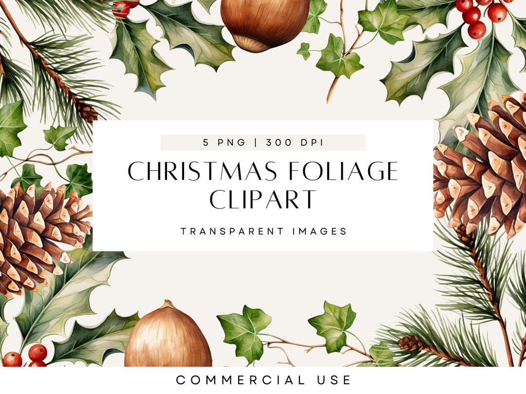 Christmas Foliage Clipart, Winter Greenery, Holly Leaves, Pine Cone ...