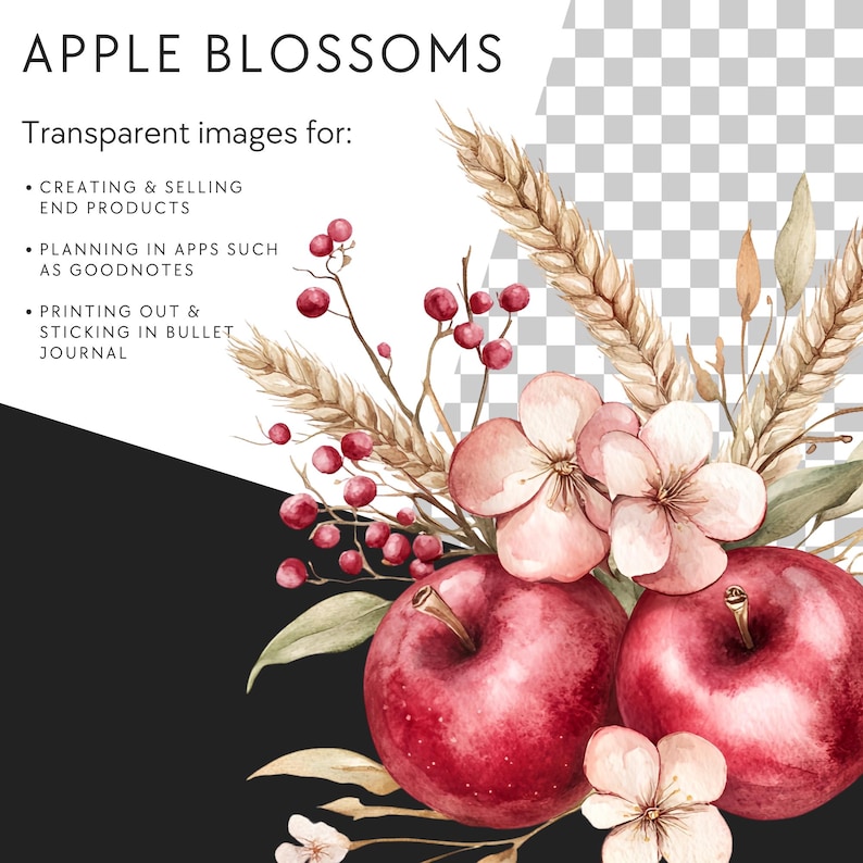 Apple Clipart Floral | Watercolor Flowers, Red Apple and White Blossom ...