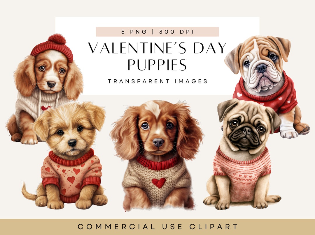 Valentines Puppy Clipart, Valentines Dog, Love Heart Jumper, Pet ...